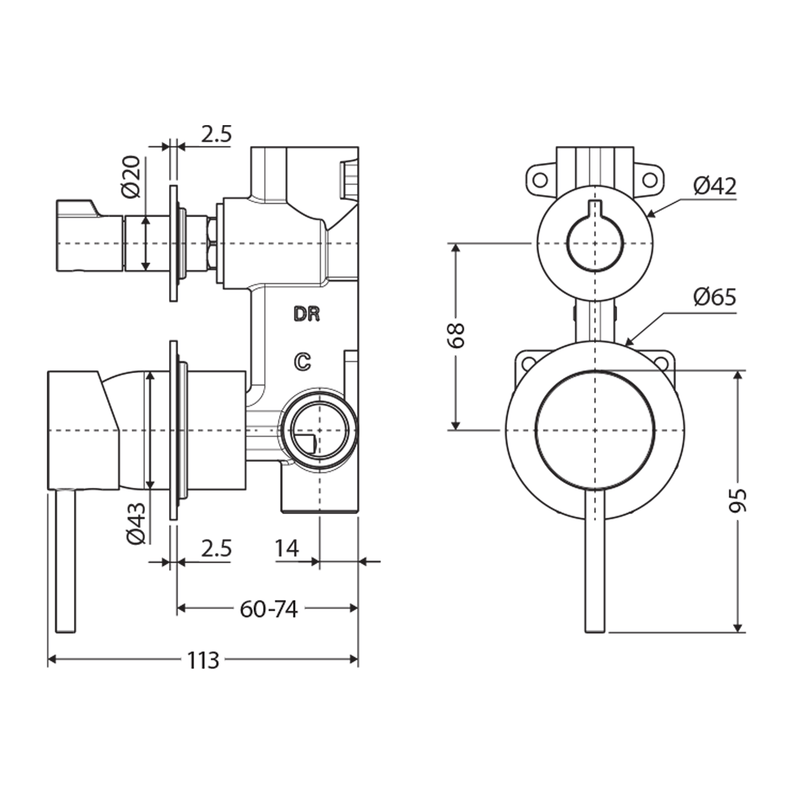 Fienza Kaya Pin Handle Shower Wall Mixer with Diverter – Sunlight Bathrooms