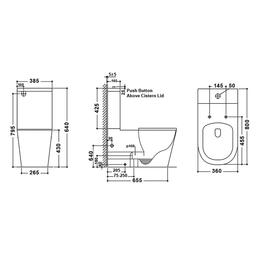Barcelona DDA Disabled Care Toilet, Rimless Back to Wall Toilet ...